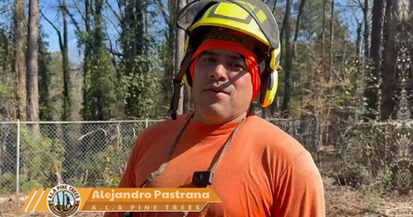 Alejandro Pastrana de A.L.A PINE TREES – PRENSA ATLANTA GLOBAL